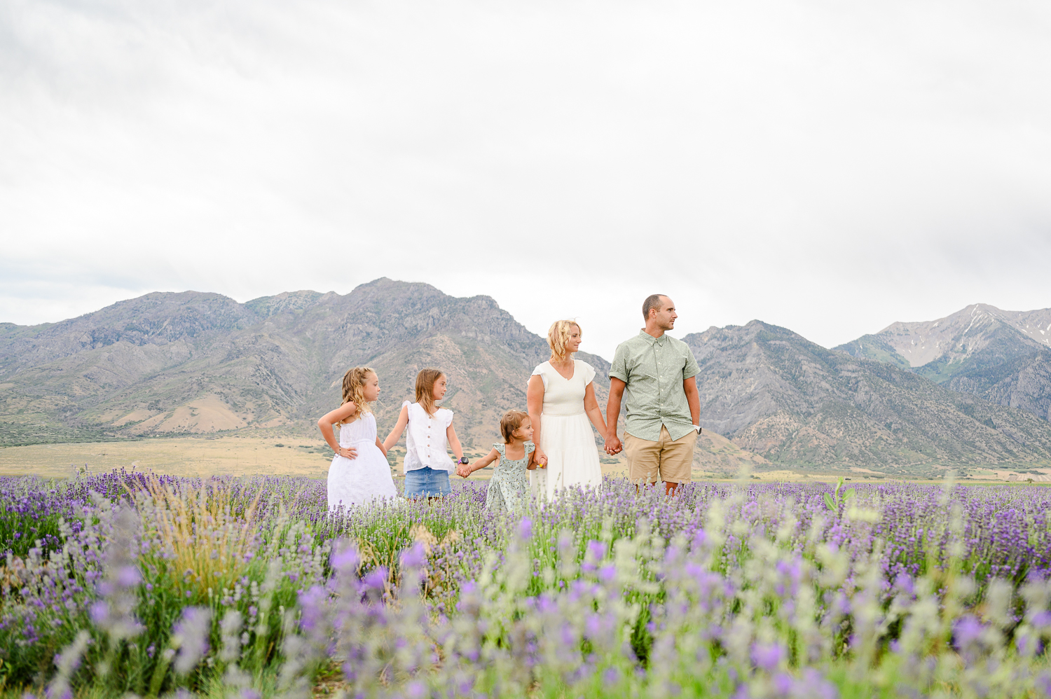 Lavender Field Family Pictures | Utah Family Photographer ...
